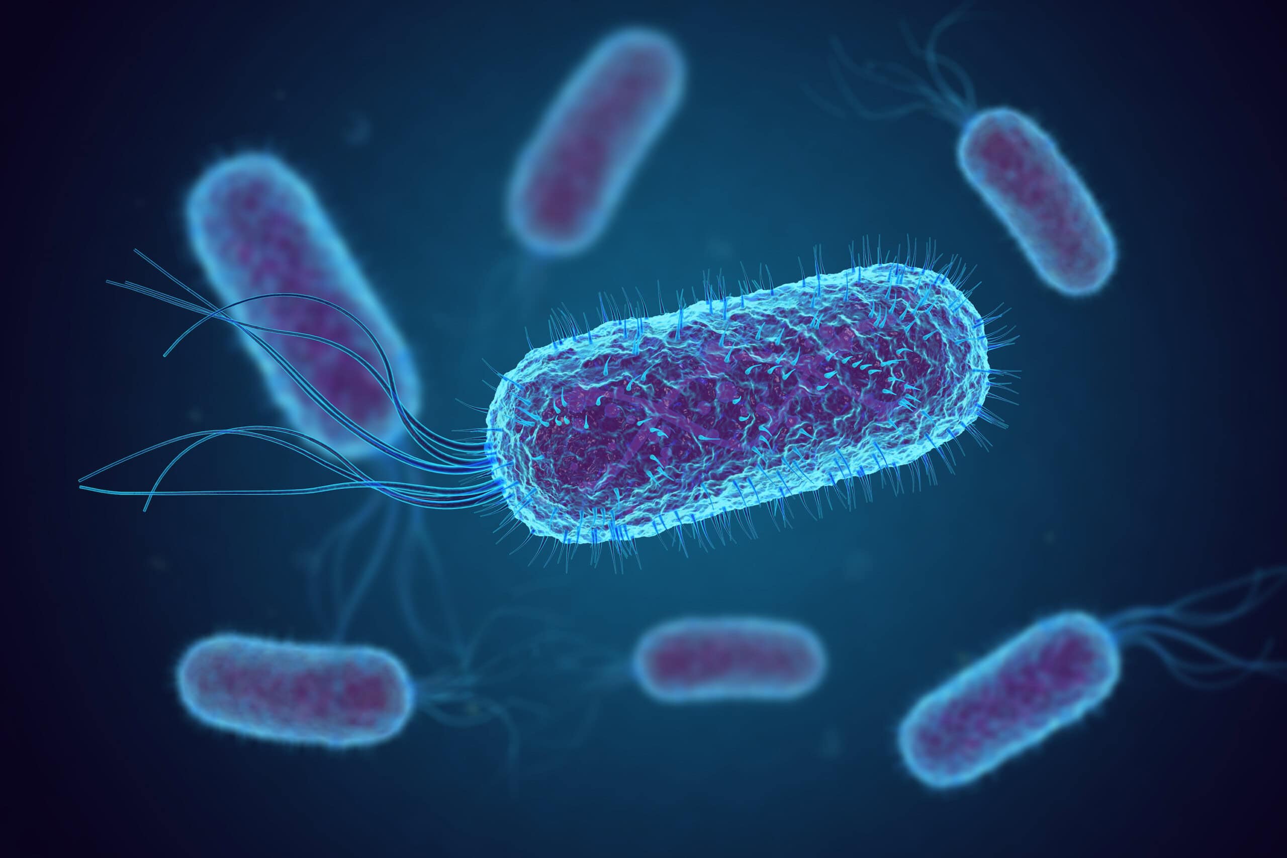 AHP® effectively eliminates Clostridium difficile spores | Virox ...