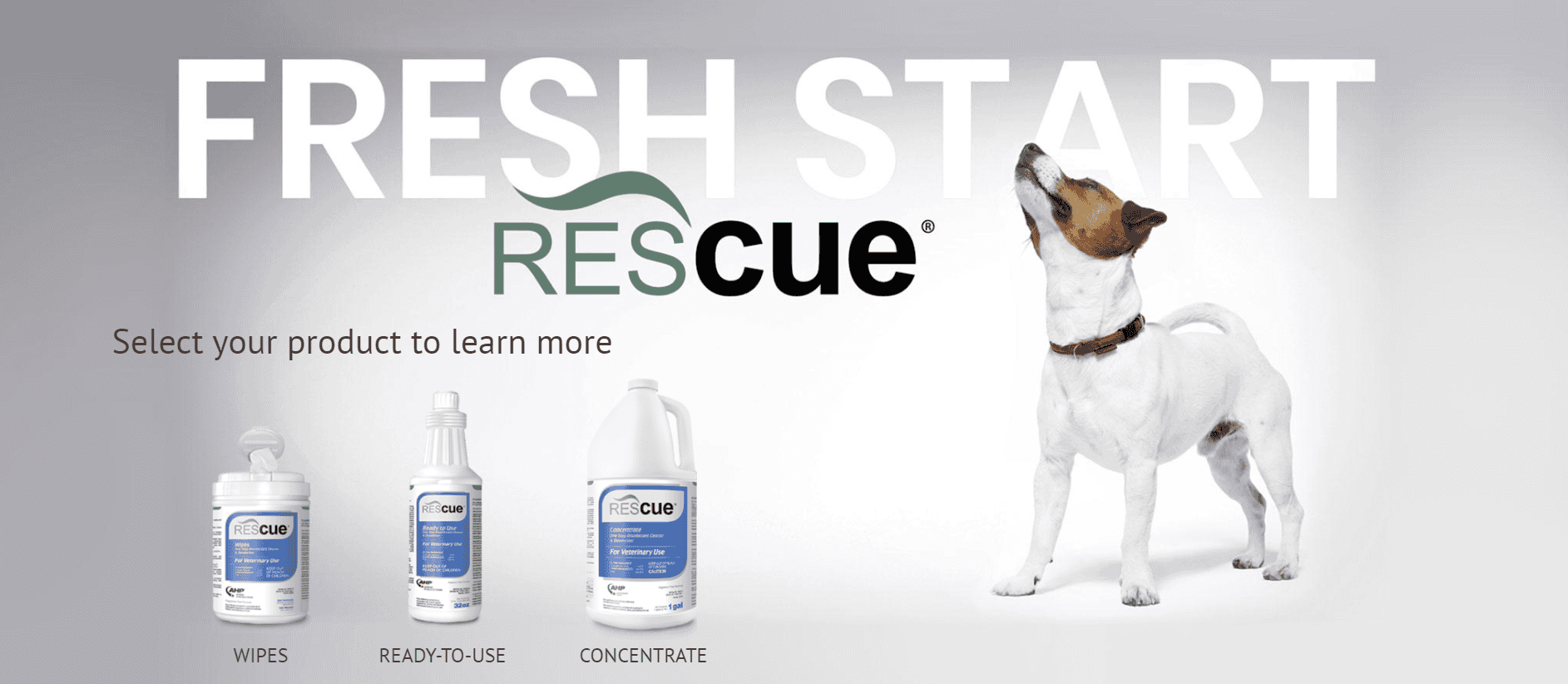 Rescue Disinfectant Resources | Virox Technologies Inc.